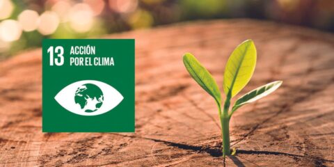 ODS y Cambio Climático: Un Enfoque Integral para un Futuro Sostenible ...